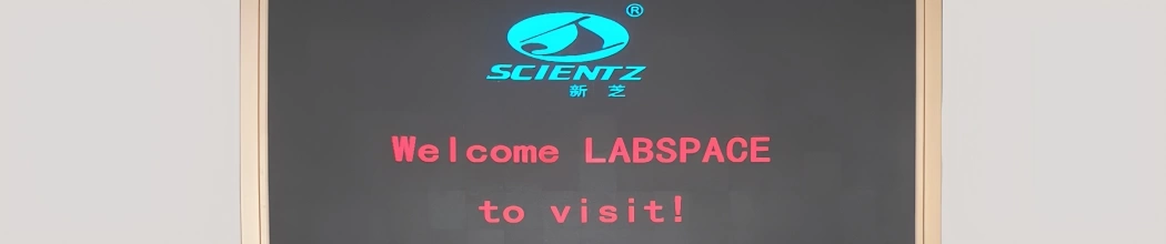 Первая командировка руководителей в Китай | Новости компании LABSPACE